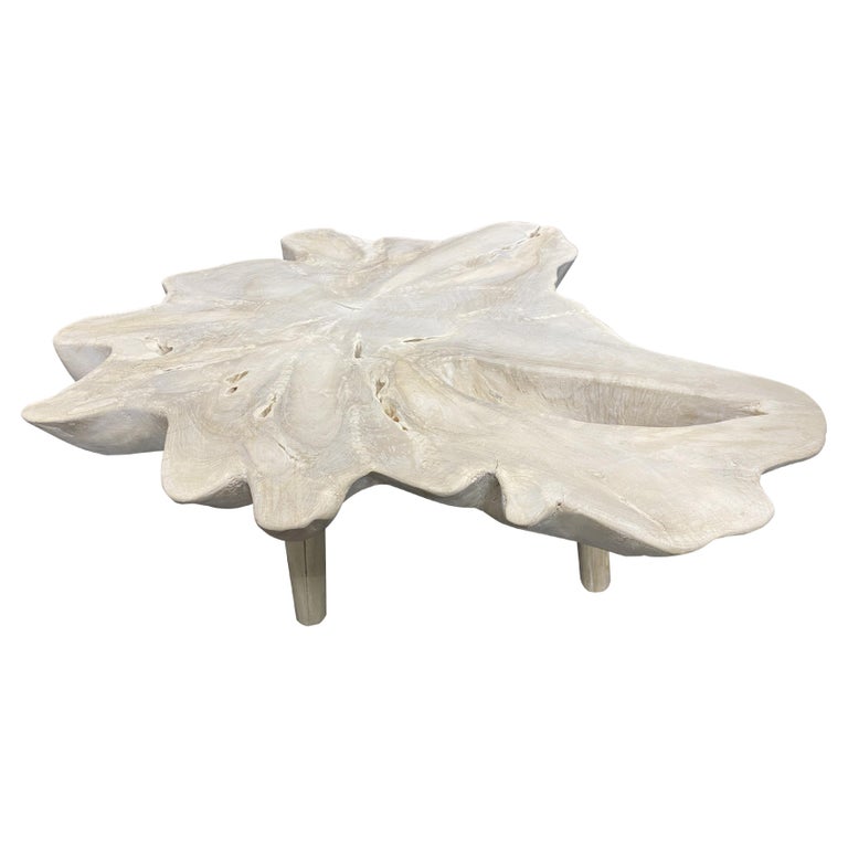 Andrianna Shamaris Amorphous Bleached Teak Wood Organic Coffee Table For Sale at 1stDibs