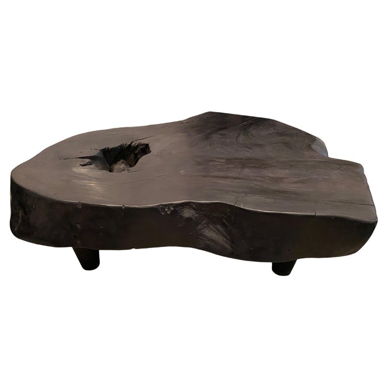 Andrianna Shamaris Amorphous Charred Coffee Table at 1stDibs