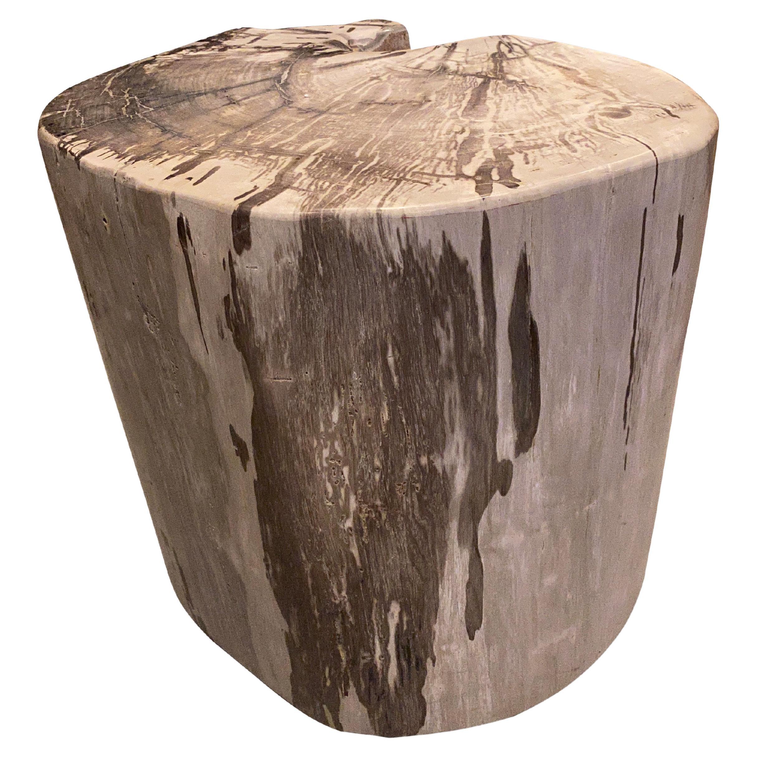 Hand Crafted One Of A Kind Artisan Petrified Wood / Steel Sculptural ...