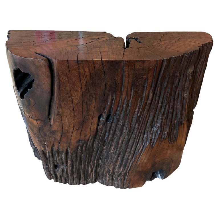 Andrianna Shamaris Beautiful Ulin Wood Console or Pedestal For Sale at ...