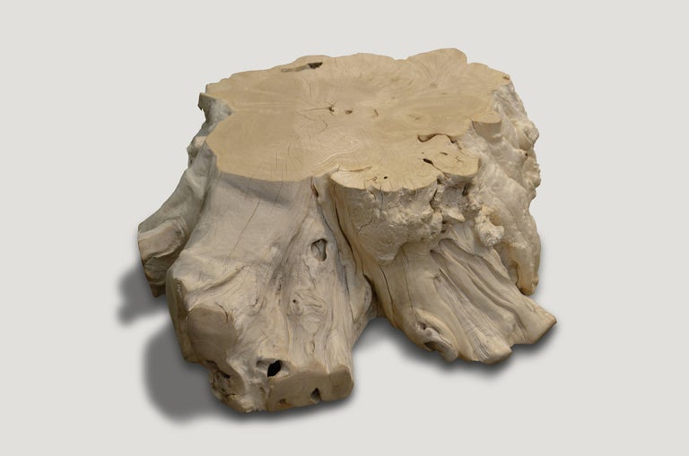 Andrianna Shamaris Bleached Teak Wood Root Coffee Table at 1stDibs ...