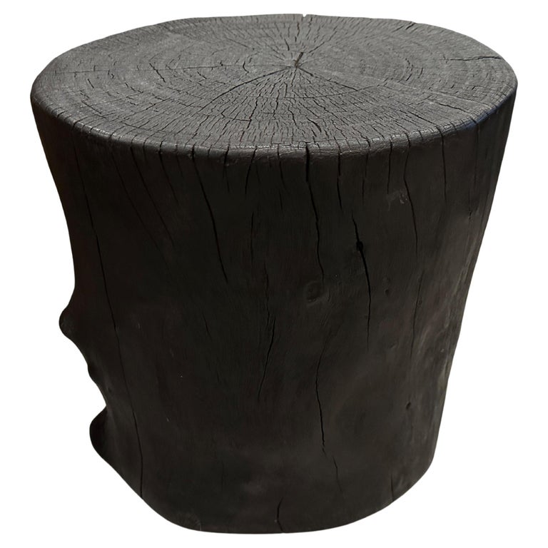 Andrianna Shamaris Charred Lychee Wood Side Table For Sale at 1stDibs