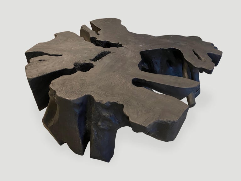 Andrianna Shamaris Charred Mahogany Root Coffee Table For Sale at 1stDibs