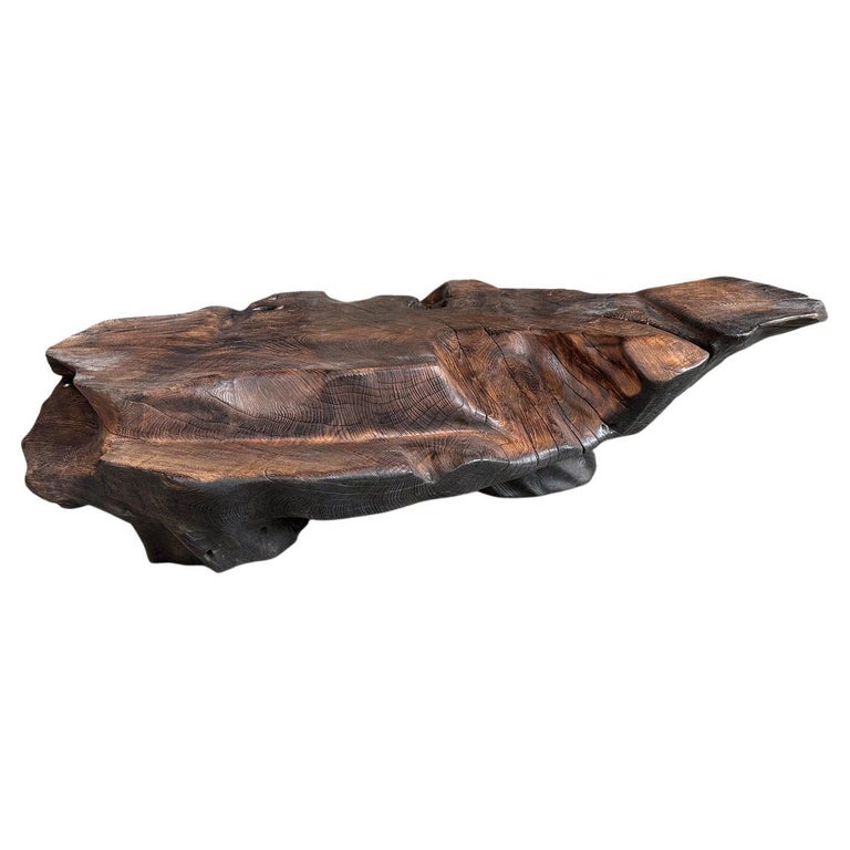 Andrianna Shamaris Charred Single Root Coffee Table For Sale at 1stDibs