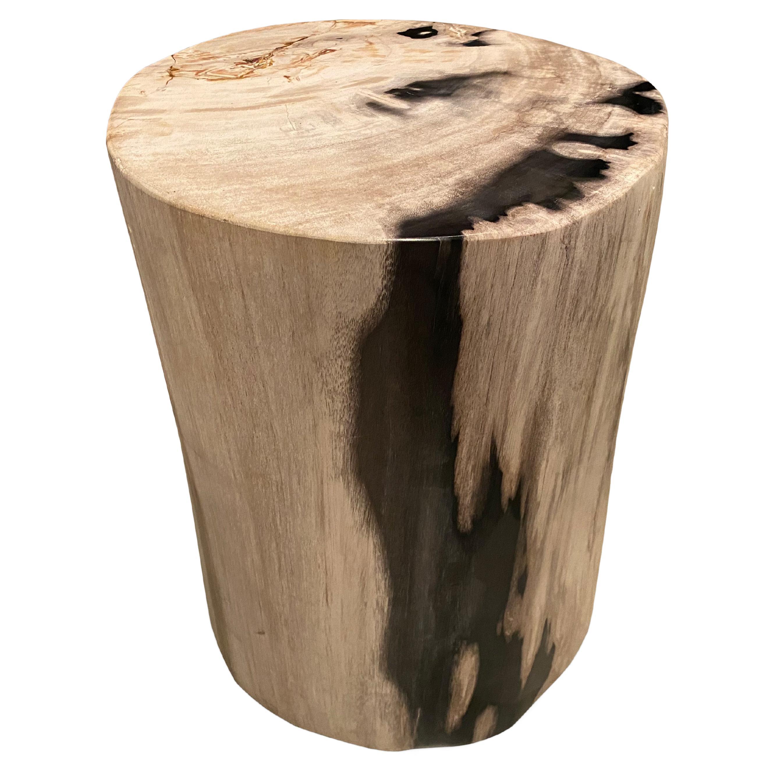 Andrianna Shamaris Oval Contrasting Toned Petrified Wood Side Table For ...