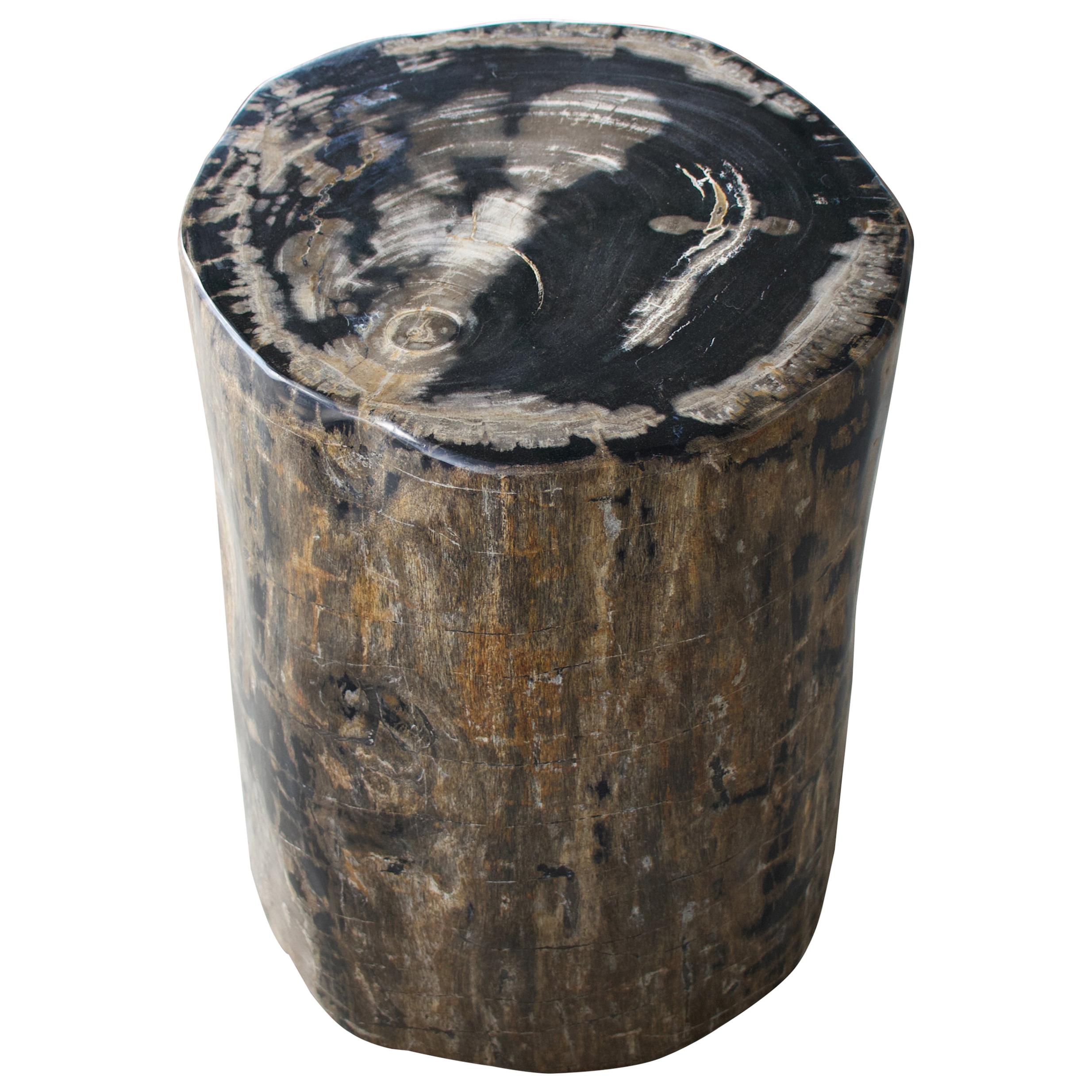 Andrianna Shamaris Earth Toned Petrified Wood Side Table at 1stDibs