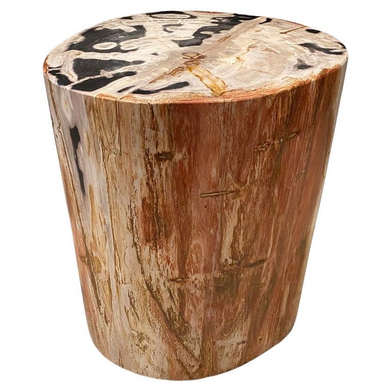 Andrianna Shamaris High Quality Petrified Wood Side Table For Sale at ...