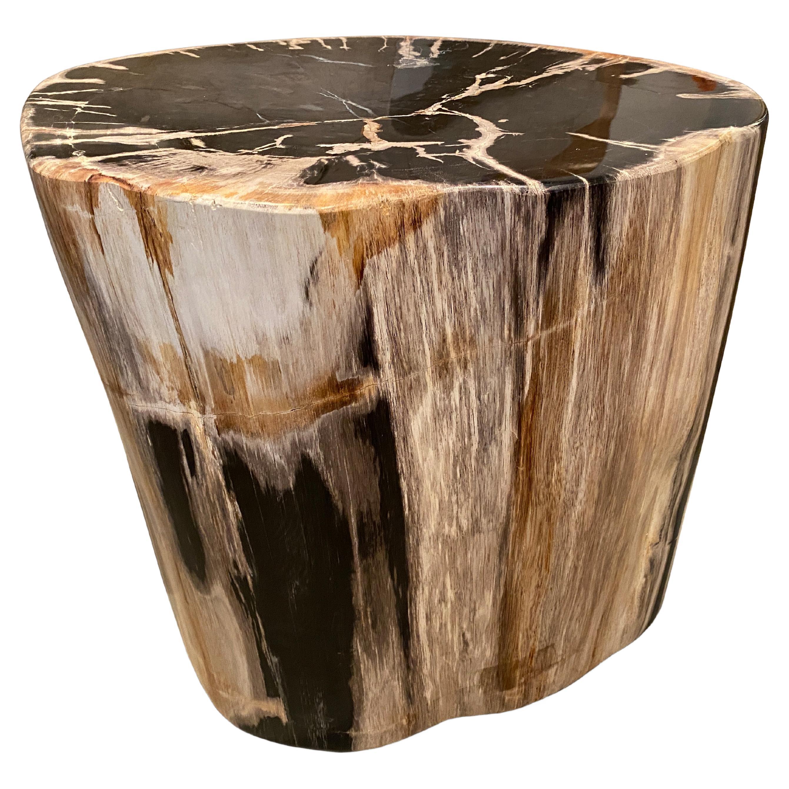 Petrified Wood Tree Trunk Side Table from Indonesia at 1stDibs