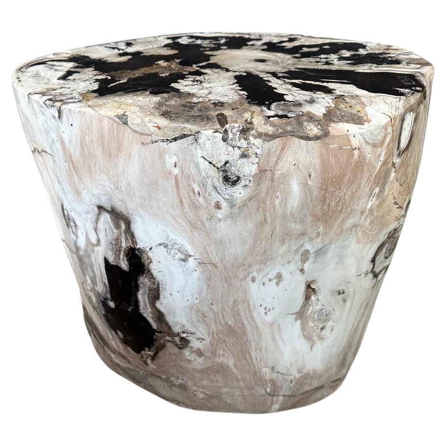 Petrified Wood Side Tables - 209 For Sale at 1stDibs | petrified wood ...