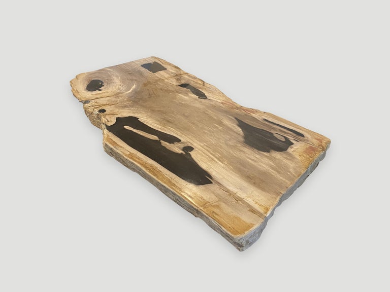 Andrianna Shamaris Impressive Petrified Wood Single Slab For Sale at ...