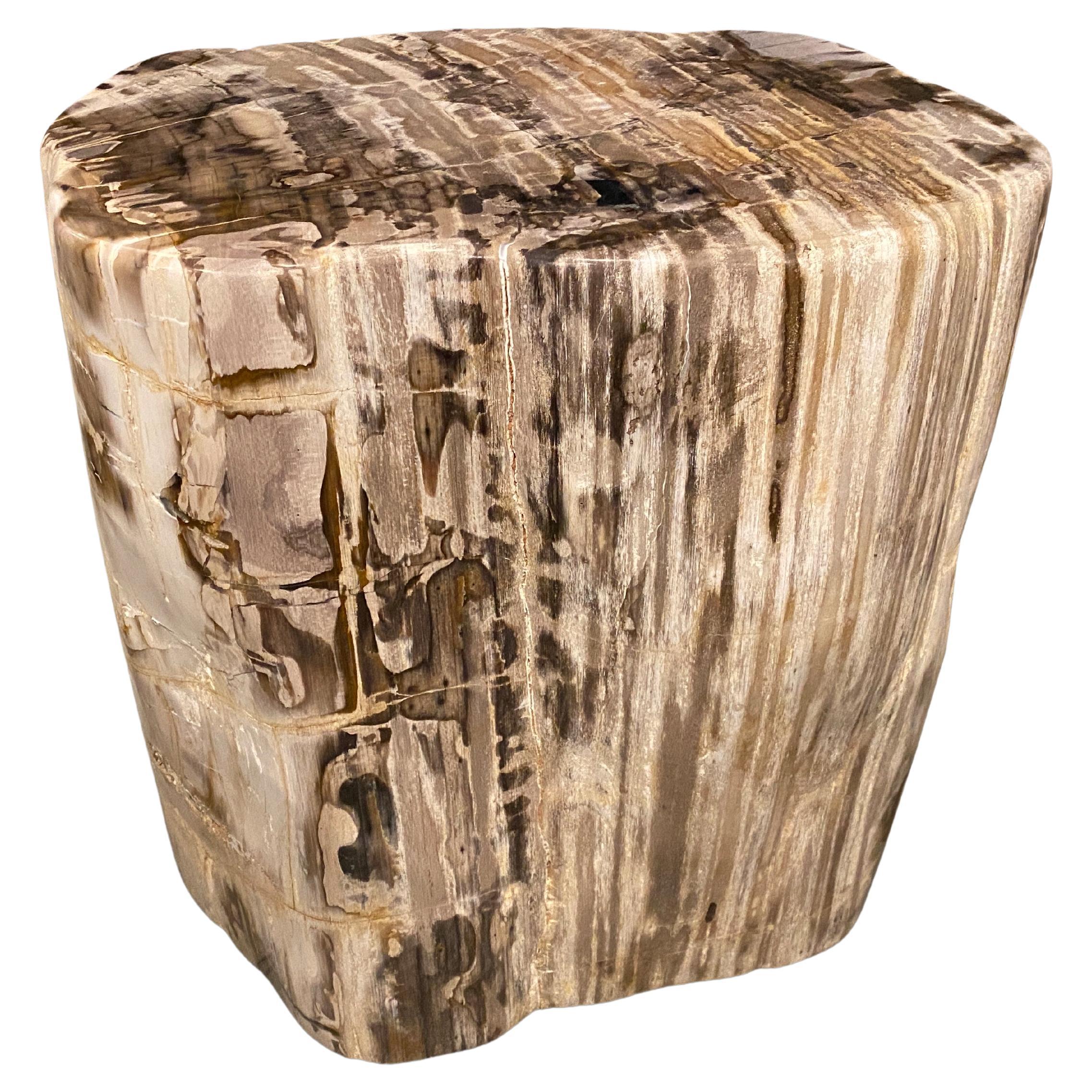 Andrianna Shamaris Large Ancient Petrified Wood Side Table For Sale at ...