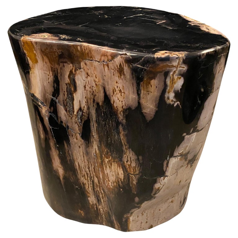 Andrianna Shamaris Large Ancient Petrified Wood Side Table For Sale at ...