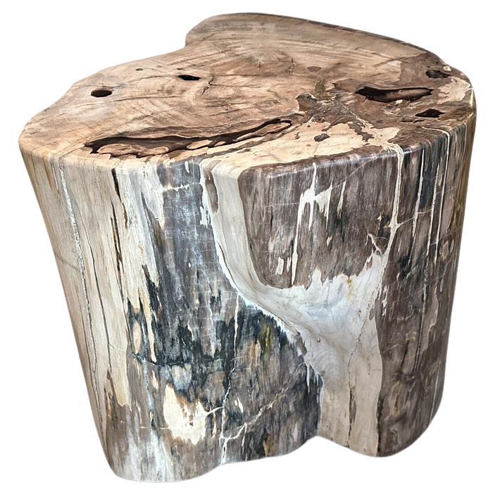 Andrianna Shamaris Large Ancient Petrified Wood Side Table For Sale at ...