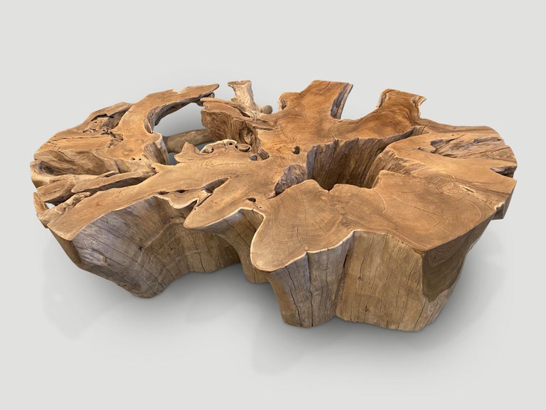 Andrianna Shamaris Large Oval Teak Wood Organic Coffee Table For Sale at 1stDibs