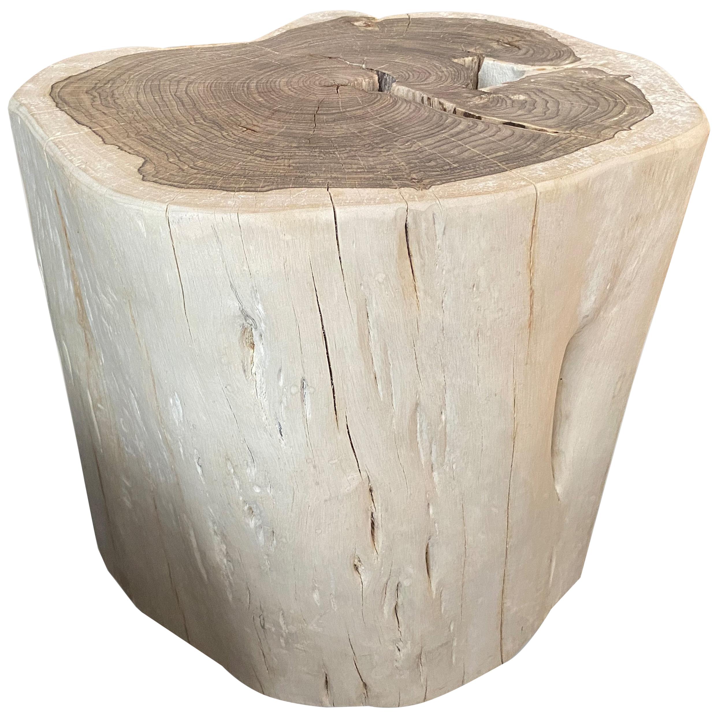 Andrianna Shamaris Minimalist Bleached Sono Wood Side Table or Stool at ...