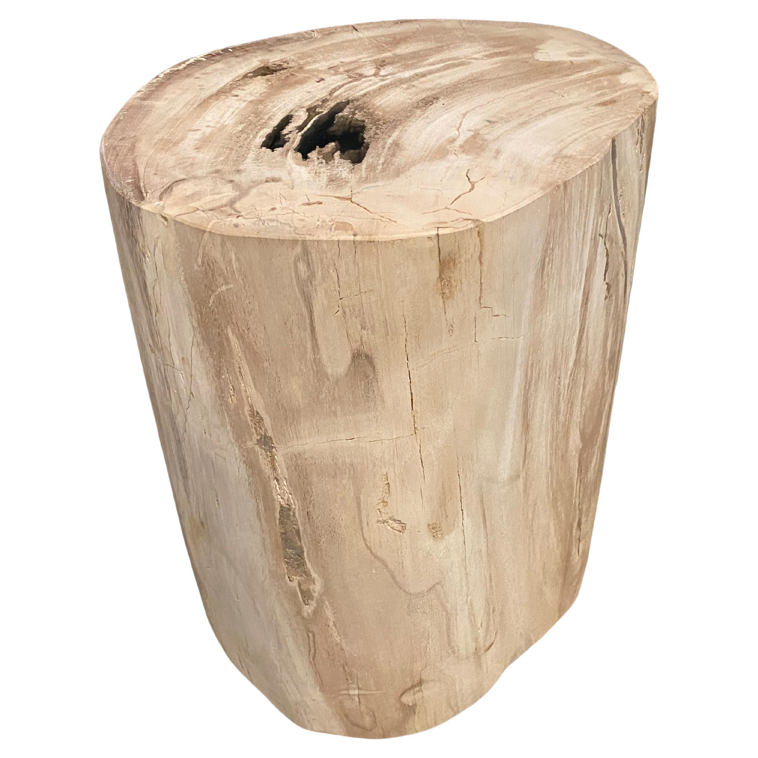 Midcentury Modern Epoxy Resin Petrified Wood Specimen Occasional Table ...