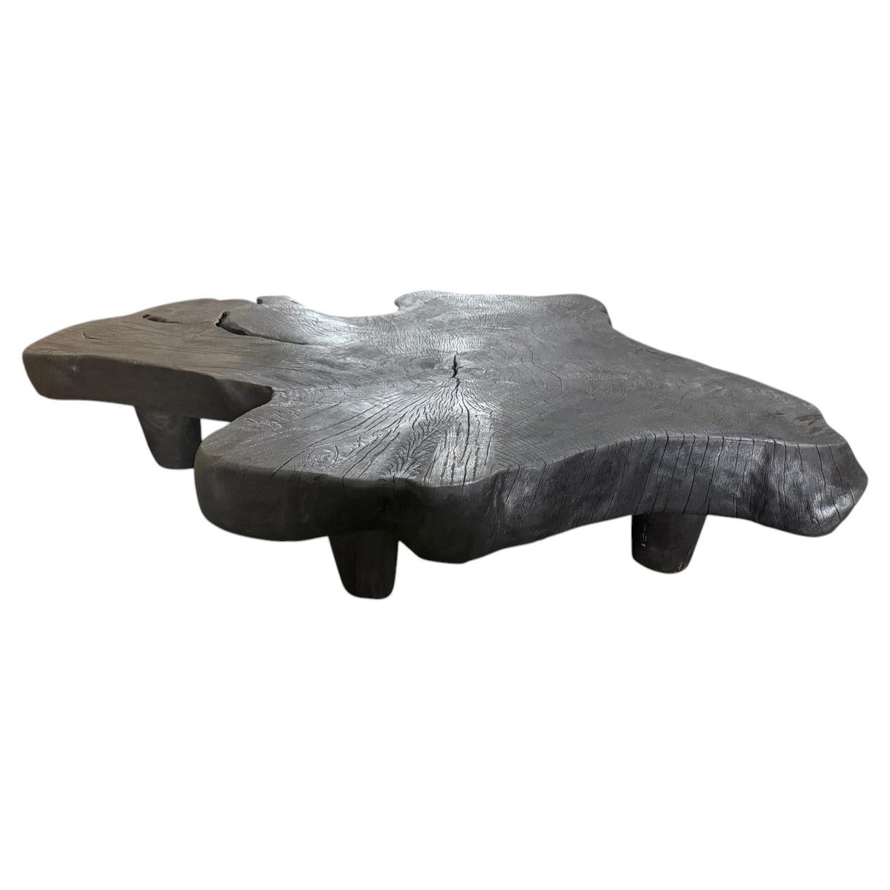 Andrianna Shamaris Charred Finish Coffee Table, Single Slab, Organic ...