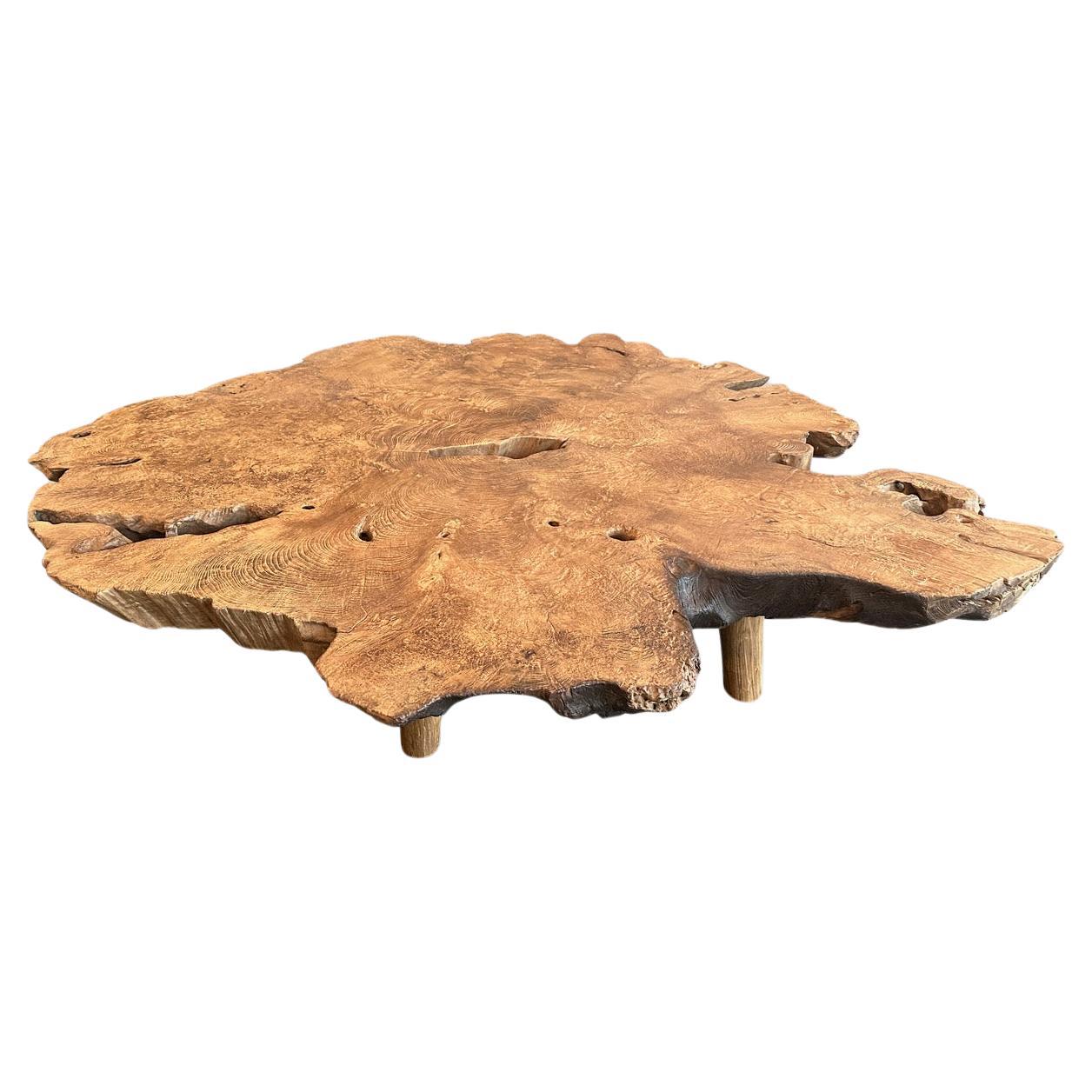 Andrianna Shamaris Monumental Rare Burl Teak Wood Coffee Table For Sale ...