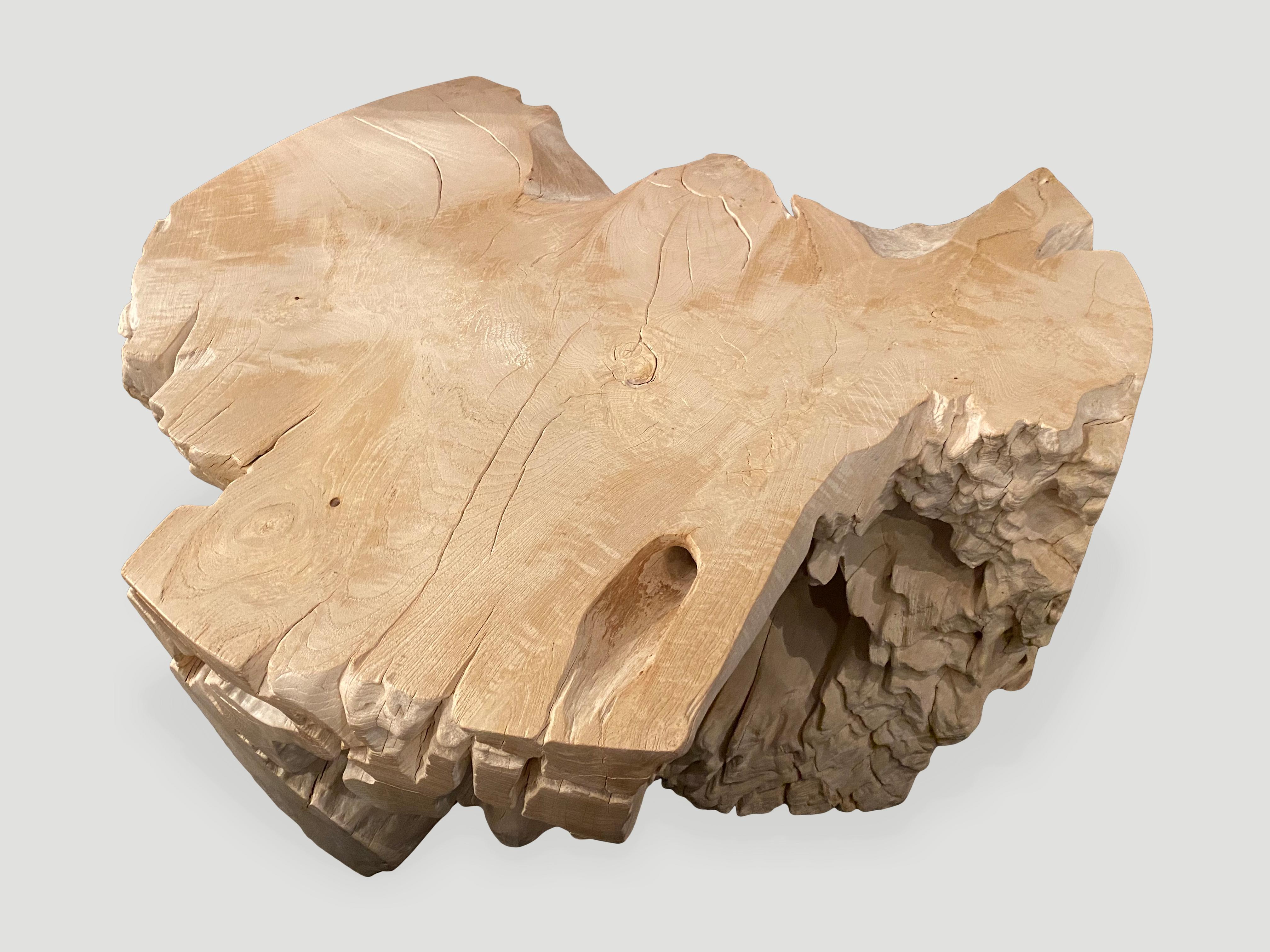 Andrianna Shamaris Organic Bleached Teak Root Coffee Table at 1stDibs