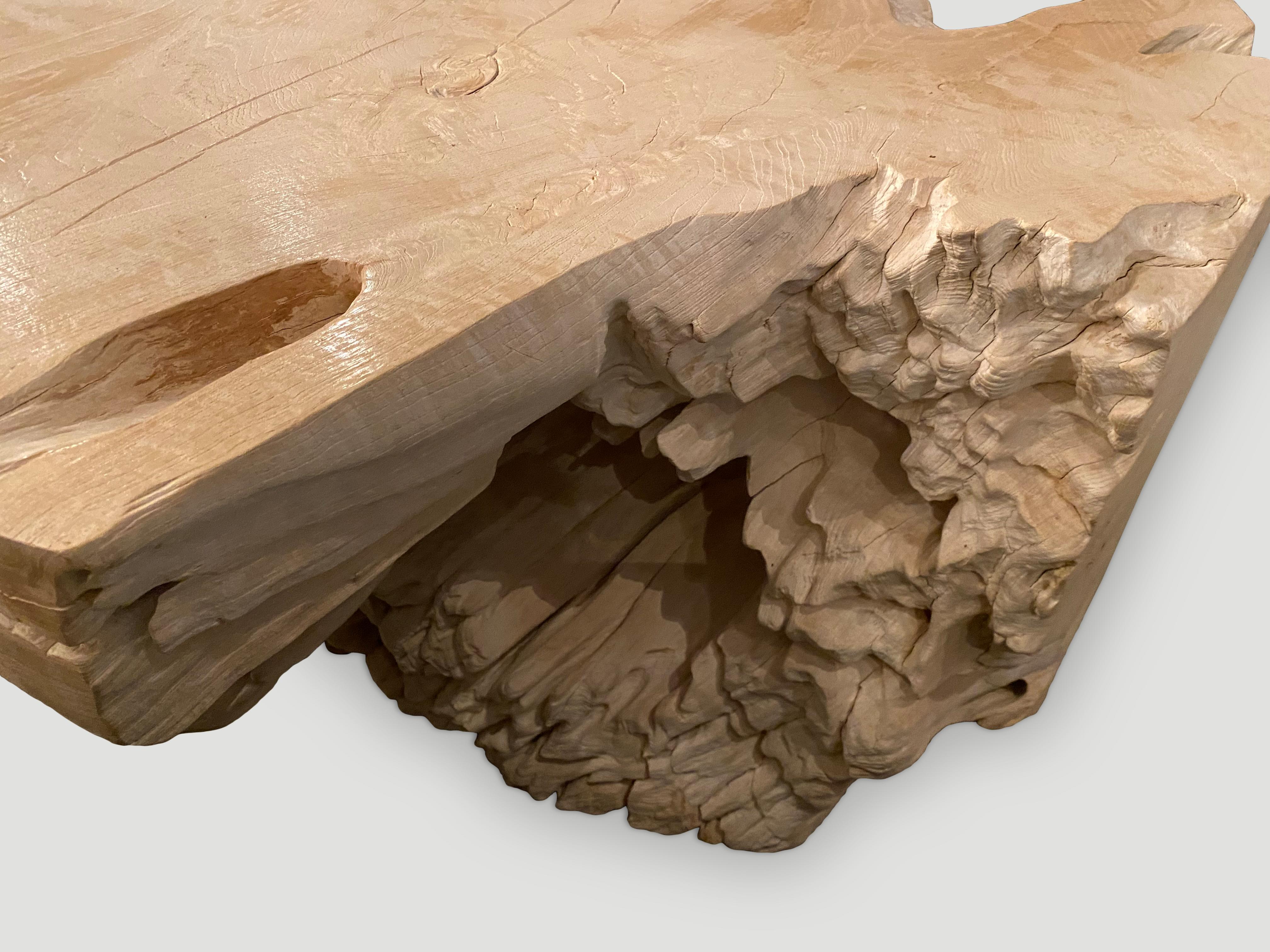 Andrianna Shamaris Organic Bleached Teak Root Coffee Table at 1stDibs