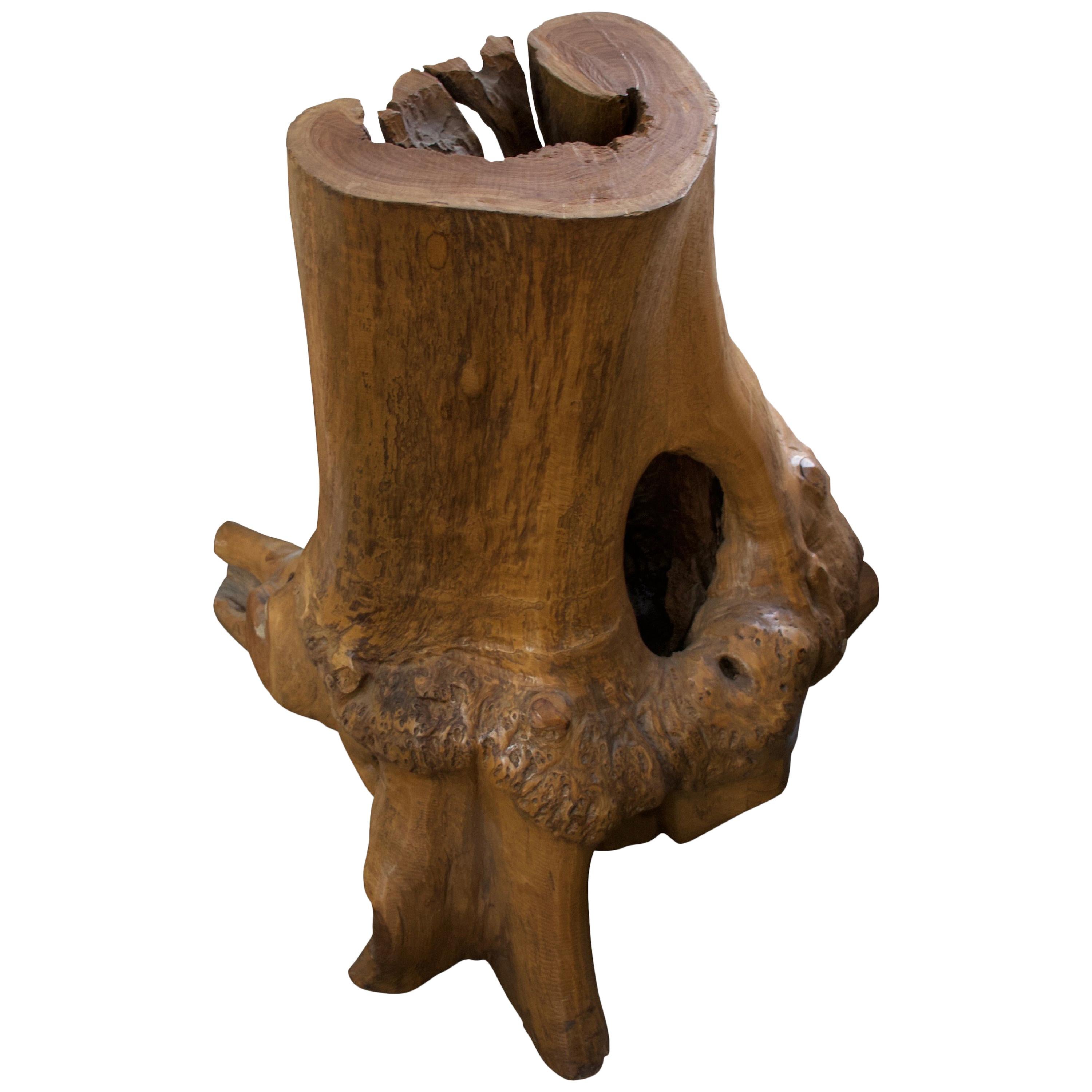 Andrianna Shamaris Organic Teak Wood Root Side Table at 1stDibs