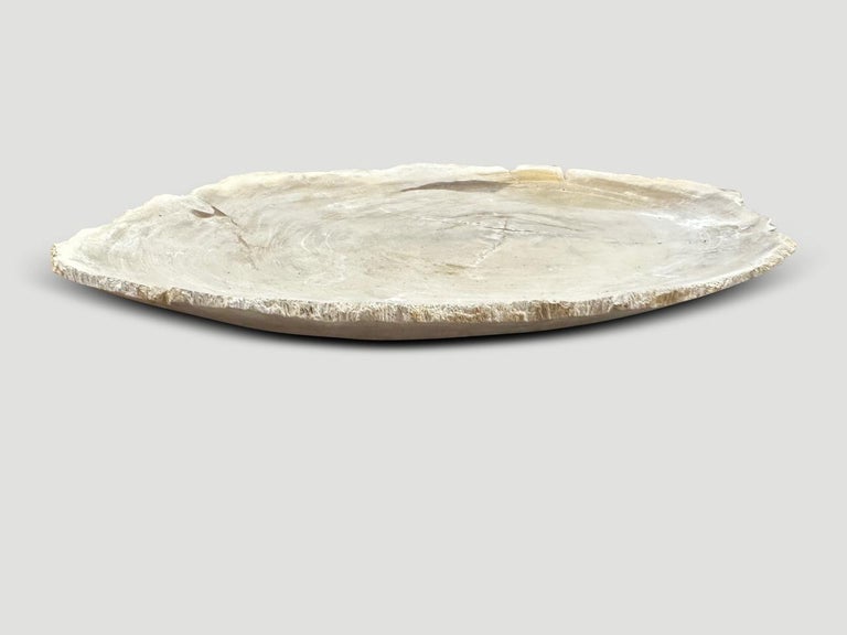 Andrianna Shamaris Petrified Wood Shallow Dish For Sale at 1stDibs