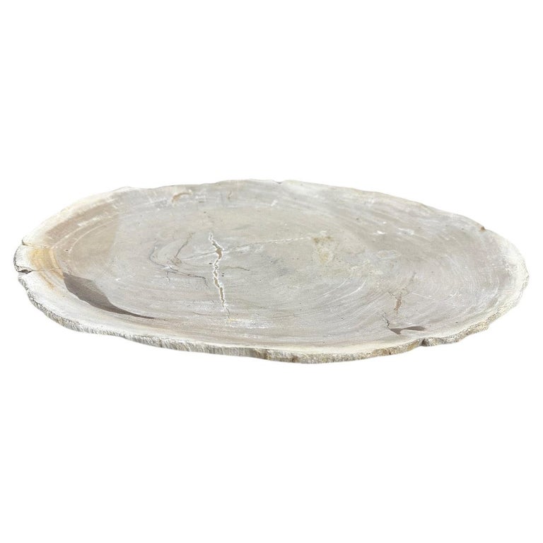 Andrianna Shamaris Petrified Wood Shallow Dish For Sale at 1stDibs