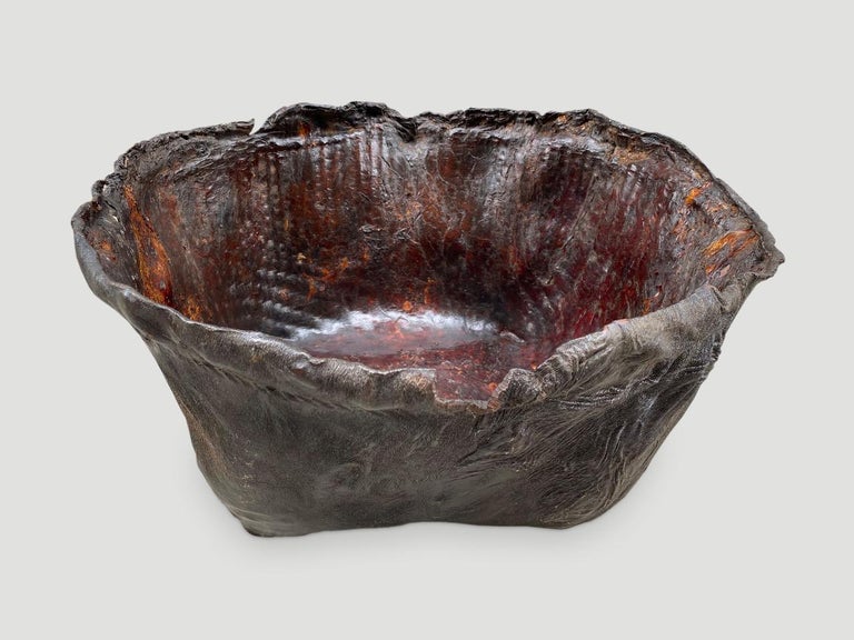Polished Buffalo Hide Container For Sale at 1stDibs