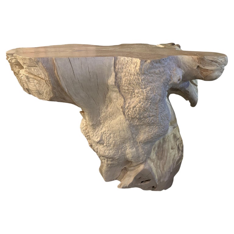 Andrianna Shamaris Rare Bleached Teak Root Console Table For Sale at 1stDibs