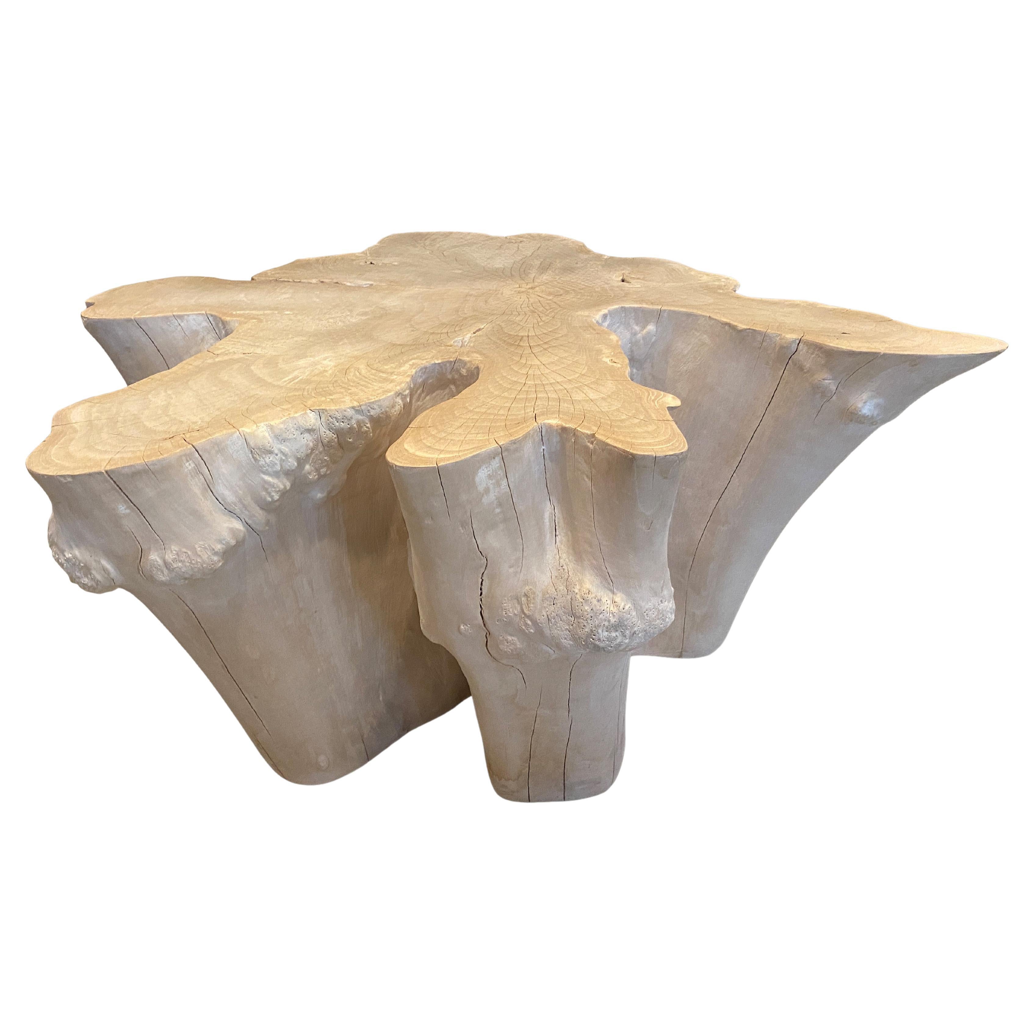 Andrianna Shamaris Bleached Teak Wood Root Coffee Table at 1stDibs