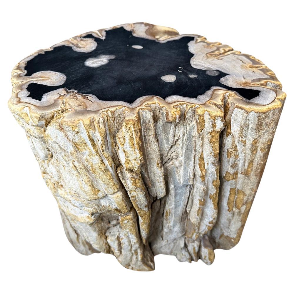 Andrianna Shamaris Rare High Quality Petrified Wood Side Table For Sale ...