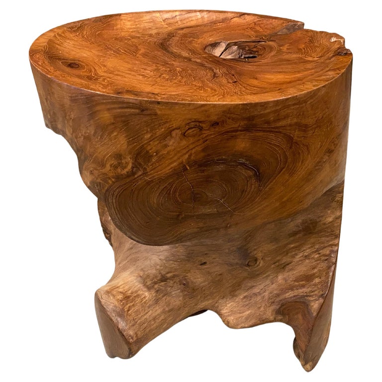 Andrianna Shamaris Sculptural Natural Teak Wood Tray Side Table For ...
