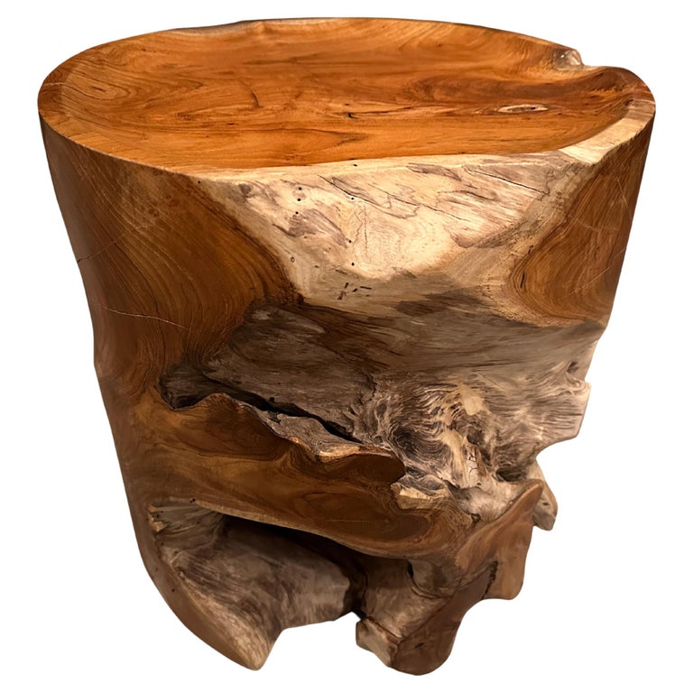 Andrianna Shamaris Sculptural Natural Teak Wood Tray Side Table For ...