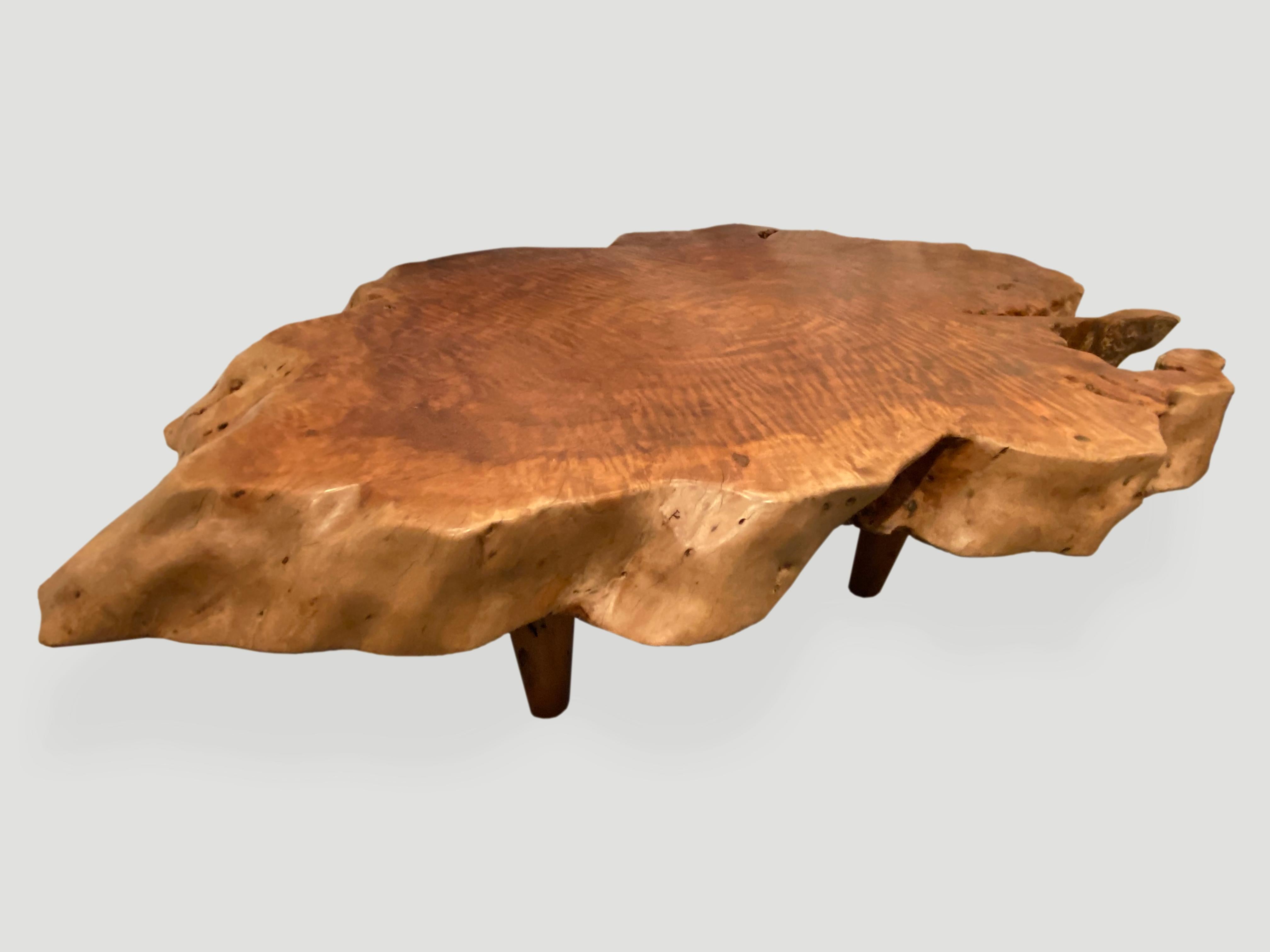 Andrianna Shamaris Single Slab Live Edge Lychee Wood Coffee Table at ...