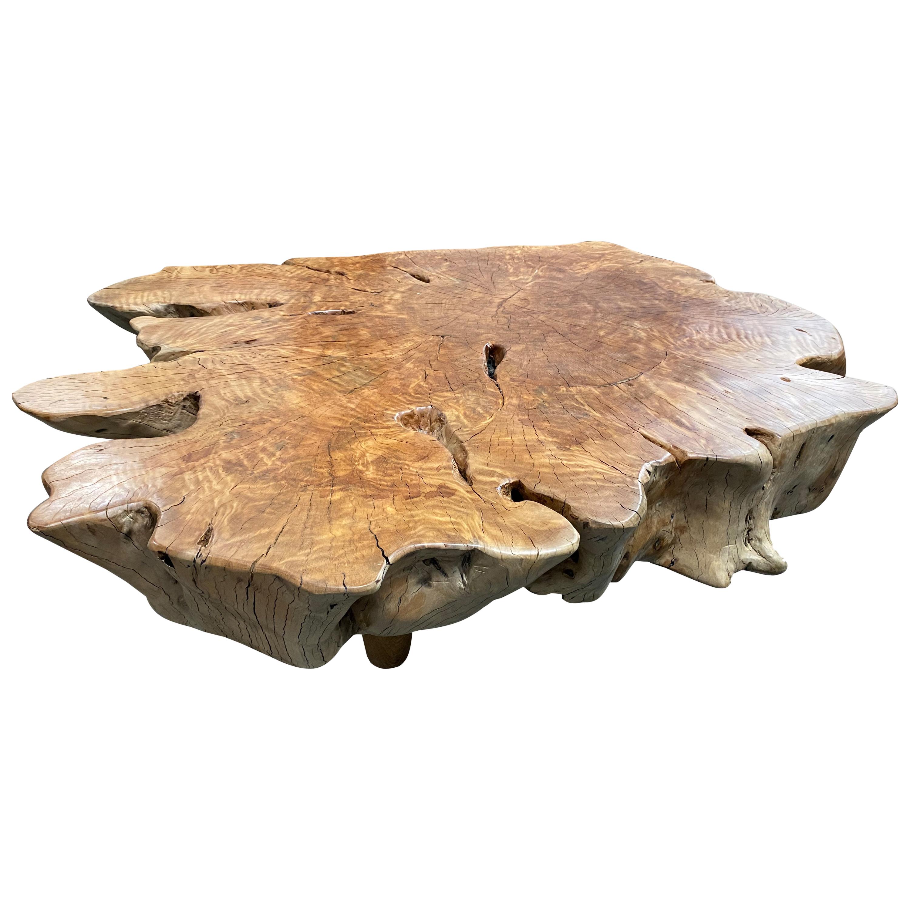 Andrianna Shamaris Single Slab Lychee Wood Live Edge Coffee Table at ...
