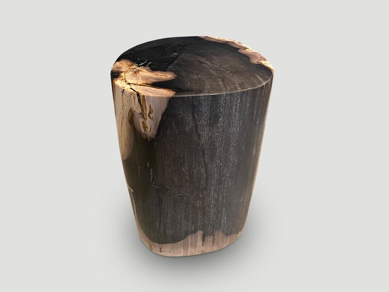 Andrianna Shamaris Super Smooth High Quality Petrified Wood Side Table ...