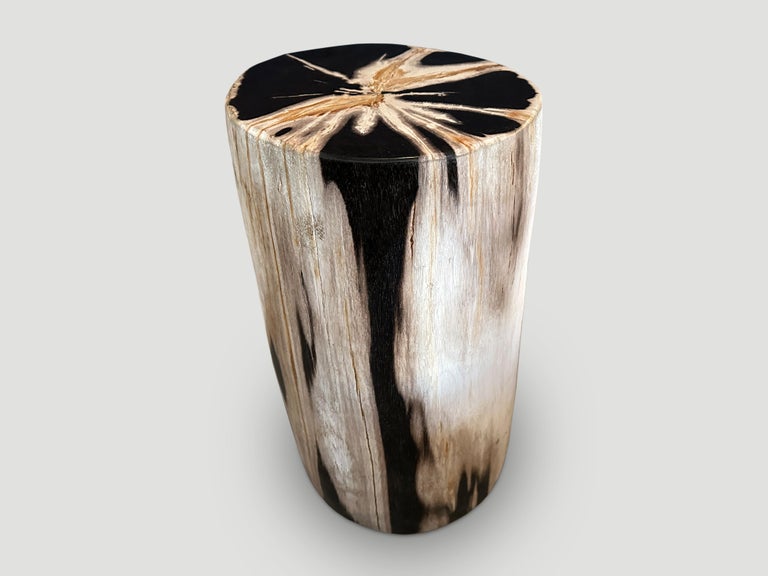 Andrianna Shamaris Super Smooth High Quality Petrified Wood Side Table ...