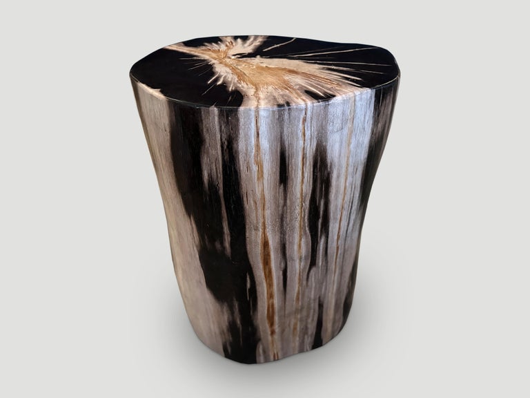 Andrianna Shamaris Super Smooth High Quality Petrified Wood Side Table ...