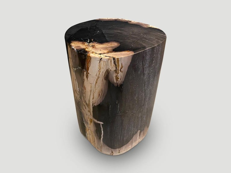 Andrianna Shamaris Super Smooth High Quality Petrified Wood Side Table ...
