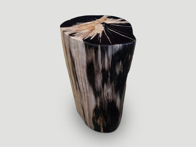 Andrianna Shamaris Super Smooth High Quality Petrified Wood Side Table ...