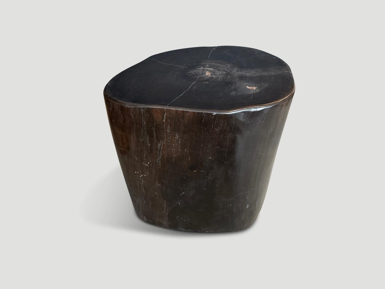 Andrianna Shamaris Super Smooth High Quality Petrified Wood Side Table ...