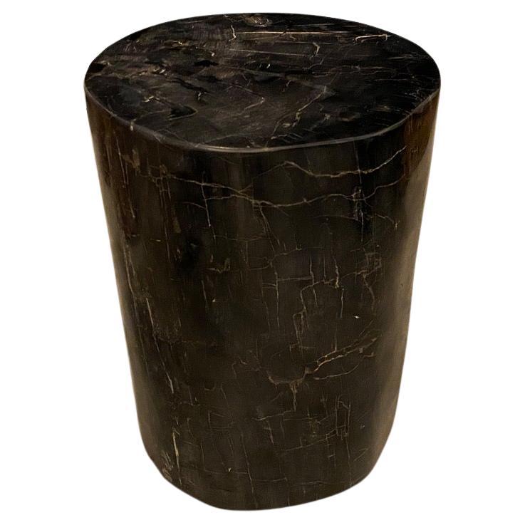 Organic Modern Petrified Wood Side Table with Pyrite For Sale at 1stDibs