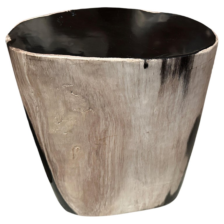 Andrianna Shamaris Super Smooth High Quality Petrified Wood Side Table ...