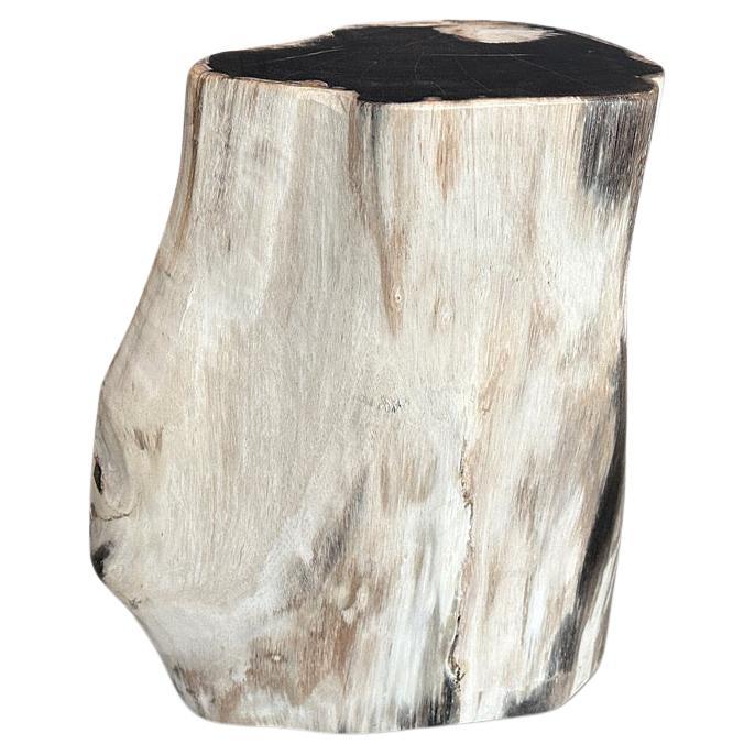 Andrianna Shamaris Impressive Super Smooth Petrified Wood Side Table ...