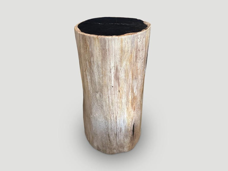 Andrianna Shamaris Super Smooth Petrified Wood Column Side Table For ...