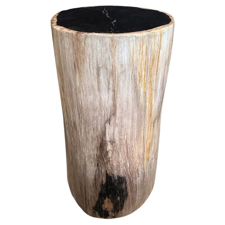 Andrianna Shamaris Super Smooth Petrified Wood Column Side Table For ...