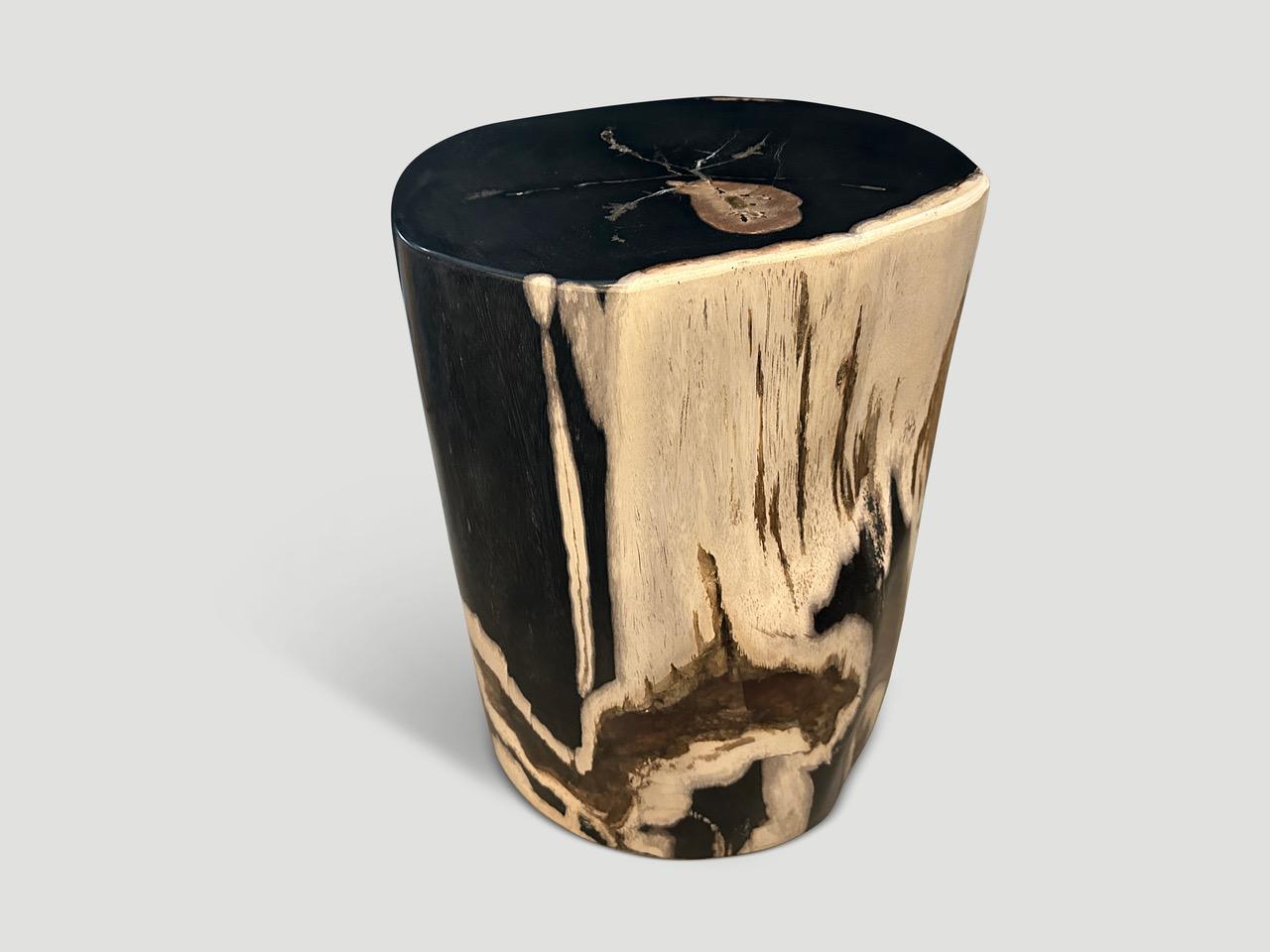 Andrianna Shamaris Super Smooth Petrified Wood with Resin For Sale at ...