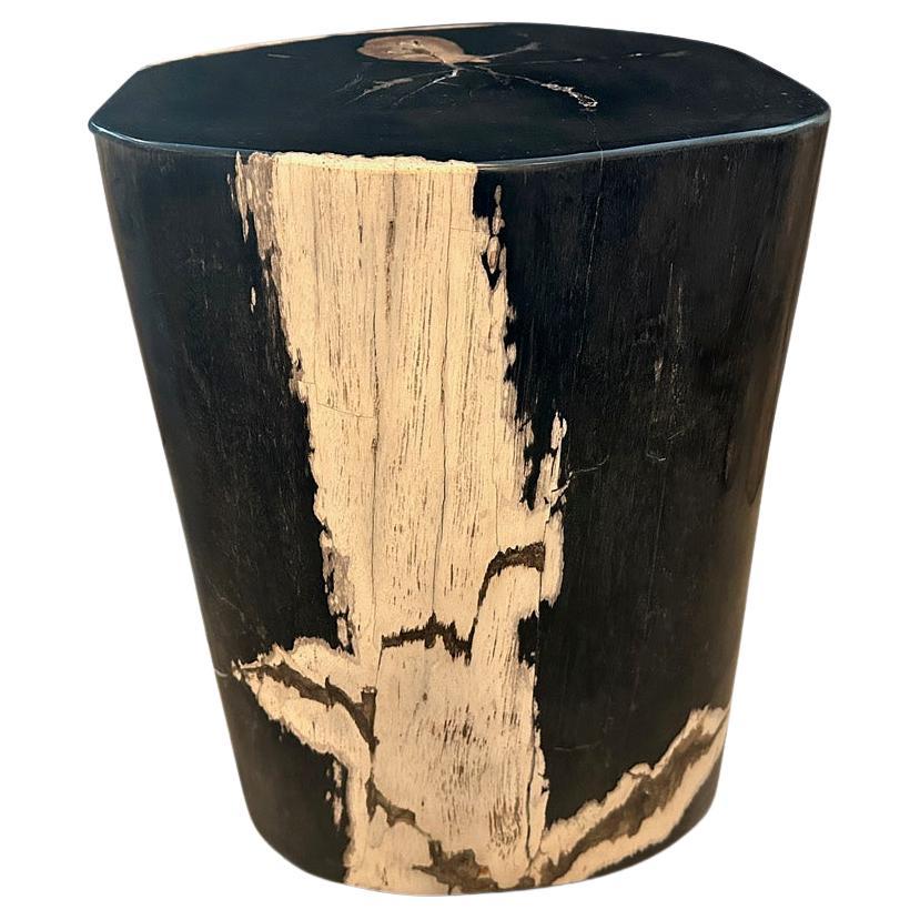 Midcentury Modern Epoxy Resin Petrified Wood Specimen Occasional Table ...