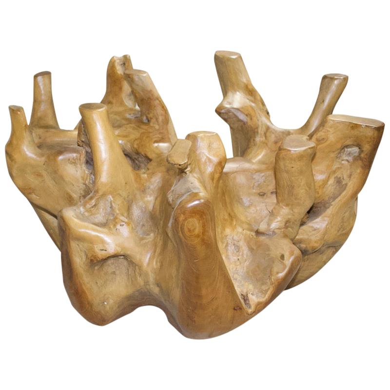 Andrianna Shamaris Teak Root Coffee Table Base at 1stDibs