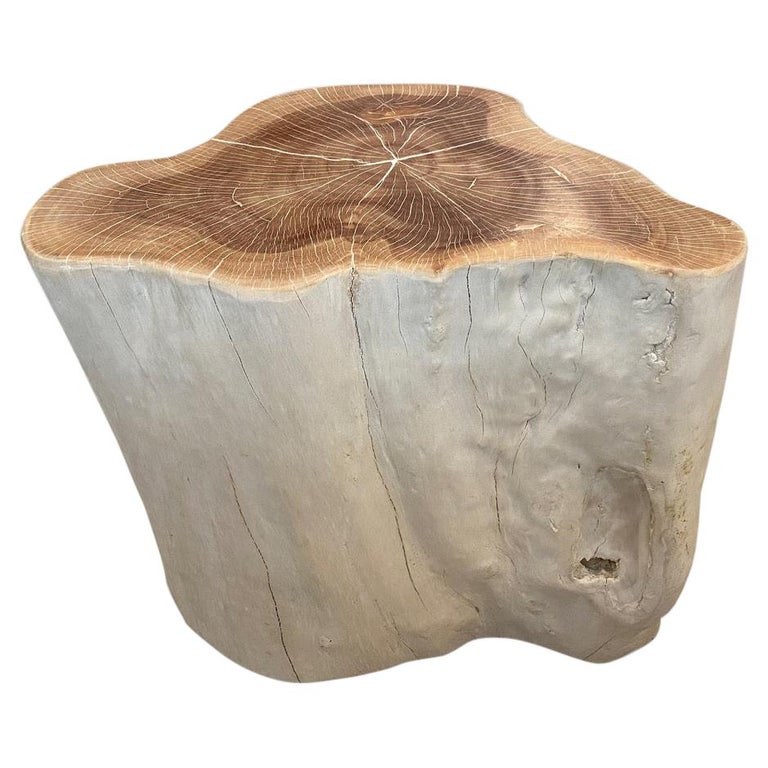 Andrianna Shamaris Two Toned Lychee Wood Side Table at 1stDibs